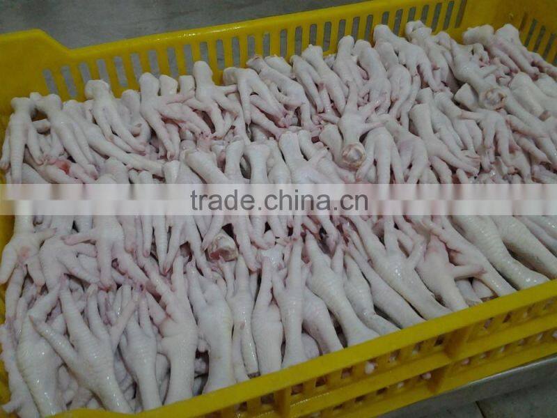 Certified Frozen Grade A chicken feet/chicken paw/chicken wings/breast ...