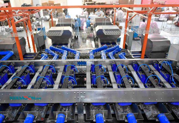 REEMOON cherry sorting machines, size sorting, color sorting, cherry ...