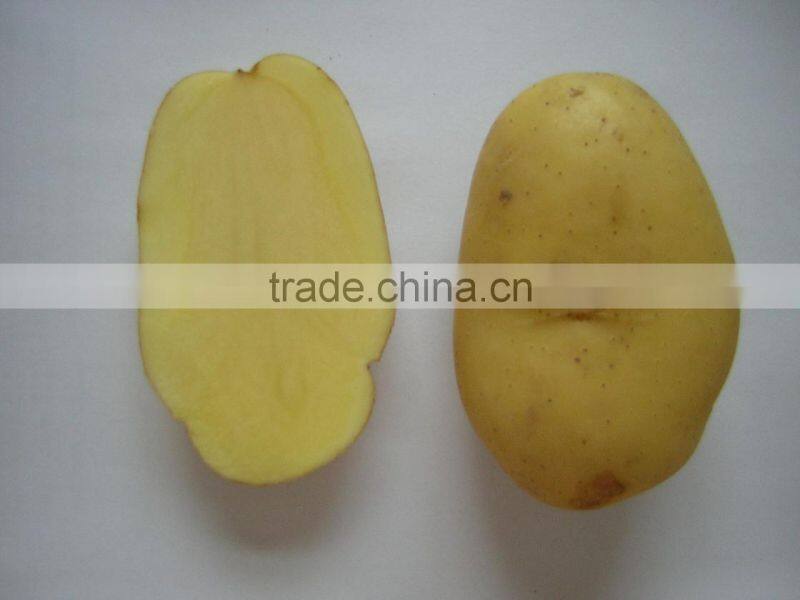 Shepody, Atlantic & Holland Table Potatoes - GoldSupplier