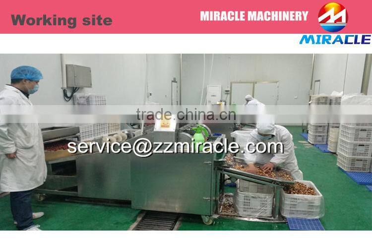 Dried Olive Cut Slicing Machine Stainless Steel 304 Olive Cutting ...