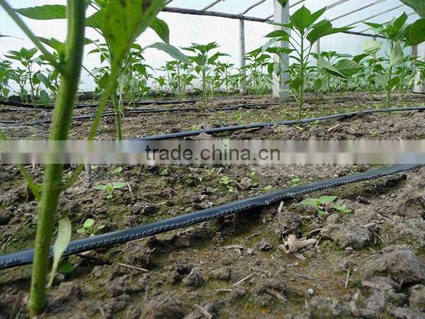 Single Blade Labyrinth Drip Tape - GoldSupplier