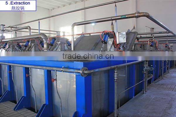 180 Bloom Beef Gelatin - GoldSupplier