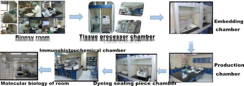 Pathological Section HS1205 - GoldSupplier
