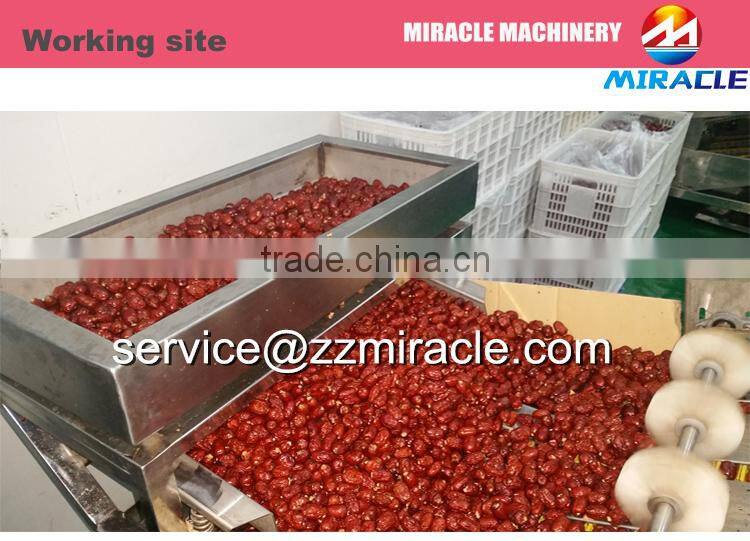 Dried Olive Cut Slicing Machine Stainless Steel 304 Olive Cutting ...