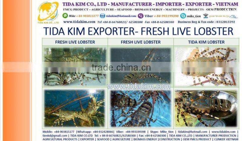 ITOYORI SURIMI MIXED KINTOKIDAI TIDA KIM FRESH FROZEN LOBSTER SHRIMP ...