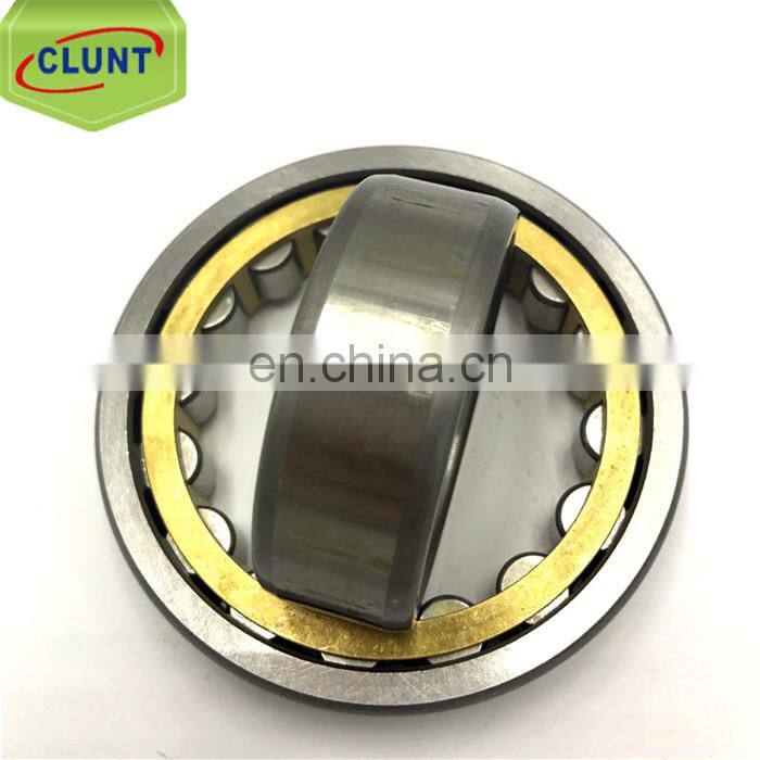 N319EM Single Row Cylindrical Bearing Brass Cage Roller Bearing N319 - GoldSupplier