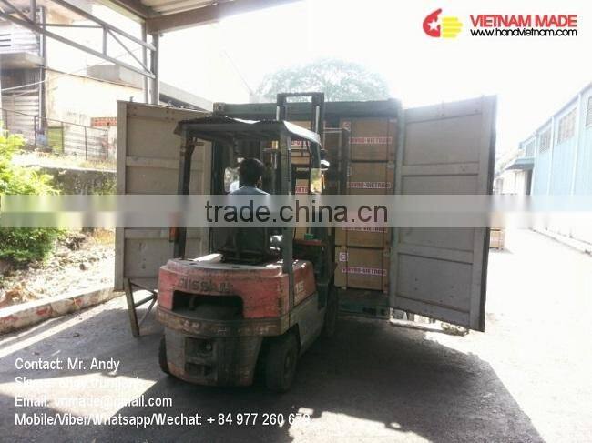 engine from vietnam brand VIKYNO RV145-2 with radiator and lamp ...