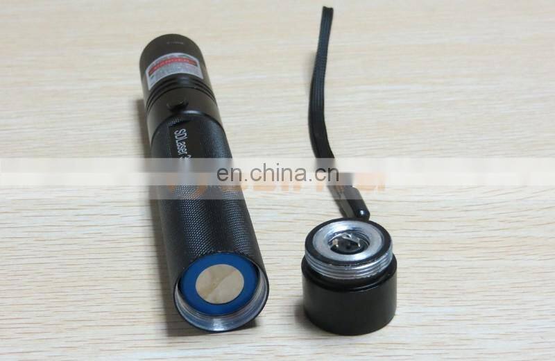 Laser 303 Pointers Adjustable Focus Burning Match Laser Pointer Pen ...