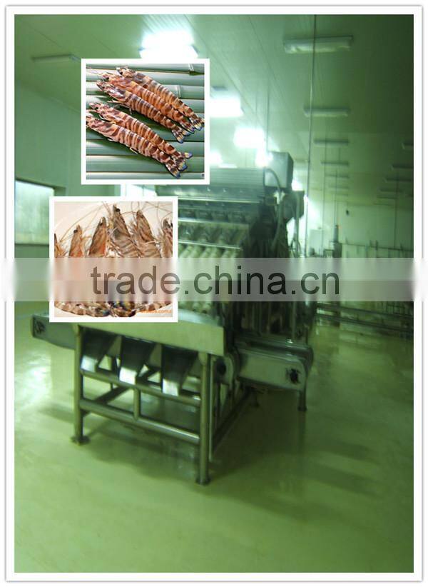 squid fish select machine - GoldSupplier