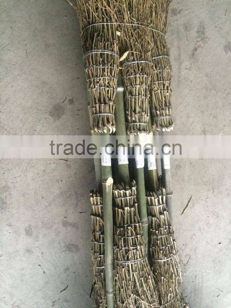 High and Cheap Italian Bamboo Broom Wholesales - GoldSupplier