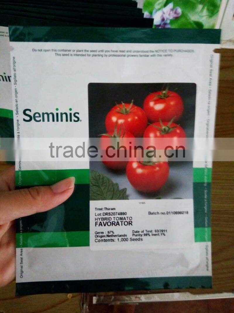 Seminis Tomato Seeds Favorator F1 - GoldSupplier