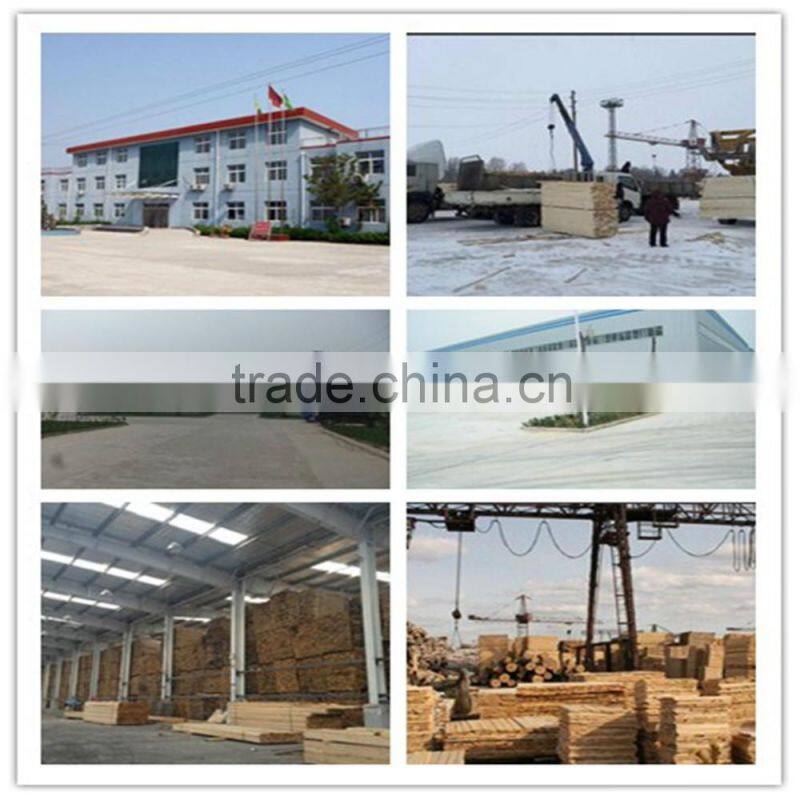 European Beech Logs,Veneer Logs - GoldSupplier