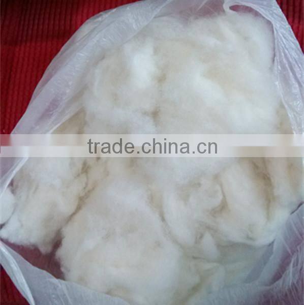 Combed scoured sheep super fine fiber - GoldSupplier