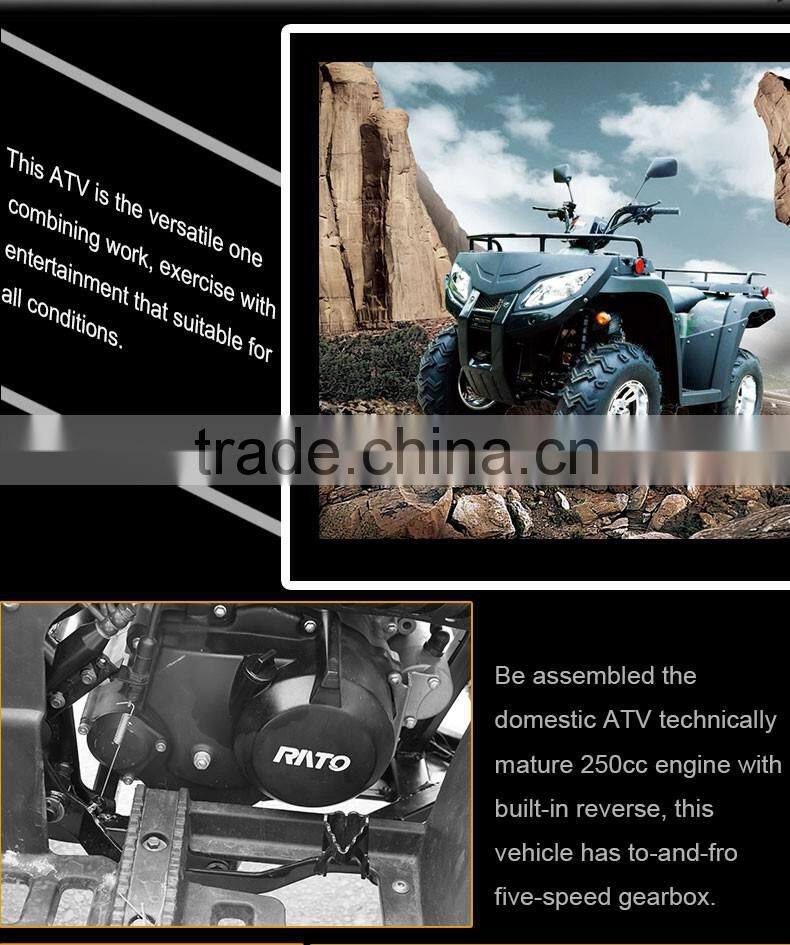 Rato Atv 250cc Quad Bike for Sale - GoldSupplier