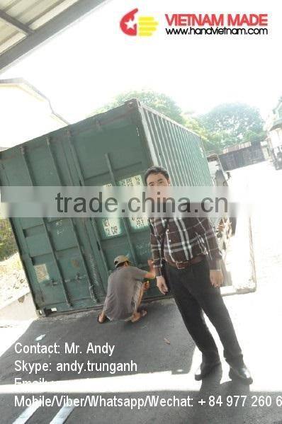 engine from vietnam brand VIKYNO RV145-2 with radiator and lamp ...