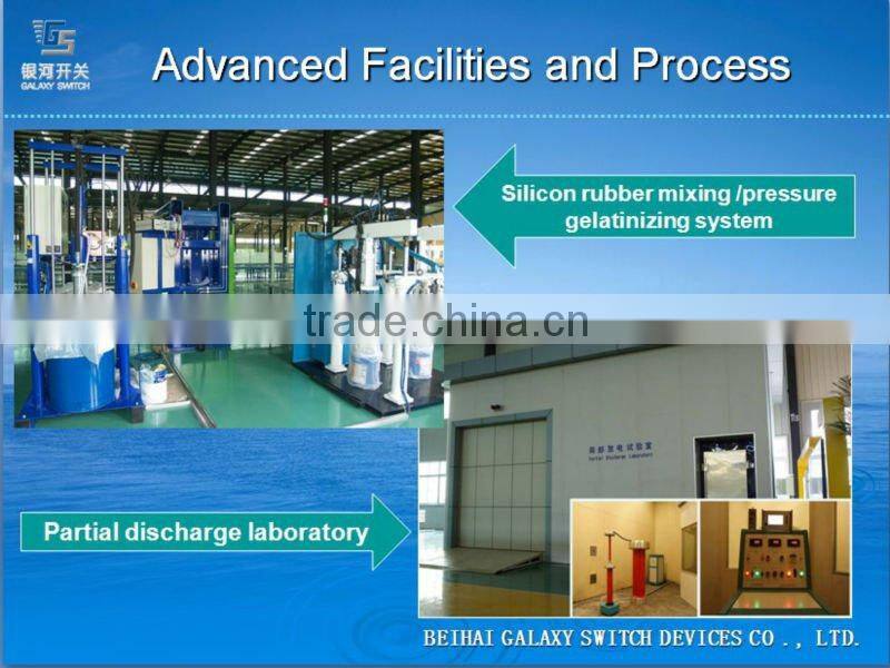 GLX 24 Series 24kV High Voltage Extensible SF6 Gas Insulated Ring Main ...