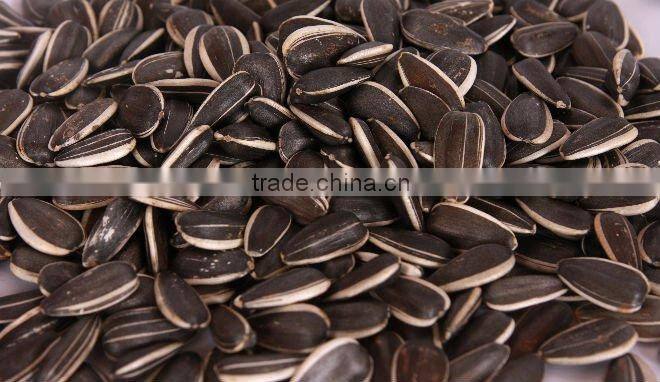 new crop chinese sunflower seeds 601 363 - GoldSupplier