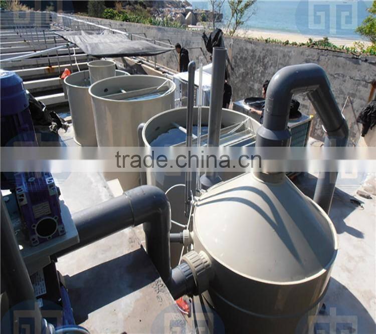 Layout design for aquaculture fish farm/RAS/Recirculation aquaculture ...