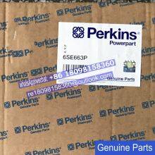 genuine Perkins BELT OE49892I for 2006TWG2 P330E P380 2006TAG2 original ...