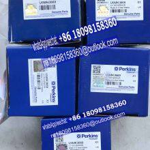 Genuine Perkins piston kit for 2806TAGoriginal engine parts KRP3032 ...