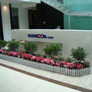 REEMOON Technology Holdings Co., Ltd.