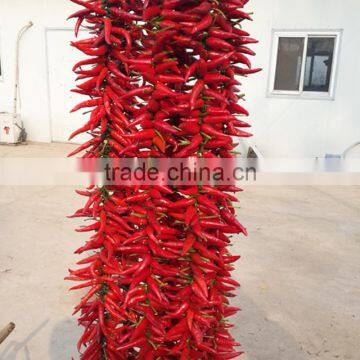 Upright Single Hot Pepper/Chilli Seed Huo Xing No.1 - GoldSupplier