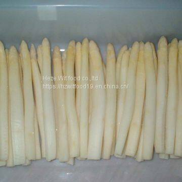Frozen white asparagus Spears and cuts - GoldSupplier