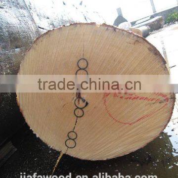 European Beech Logs,Veneer Logs - GoldSupplier