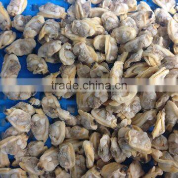 tasty and delicious high quality frozen cooked short necked clam meat ...
