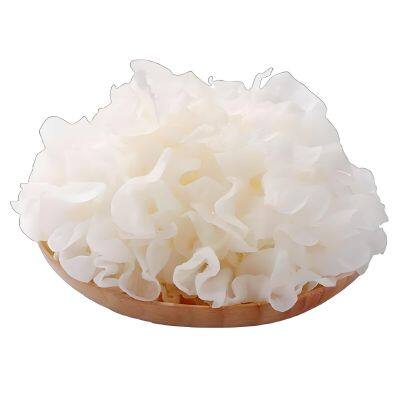 Tremella Extract - GoldSupplier