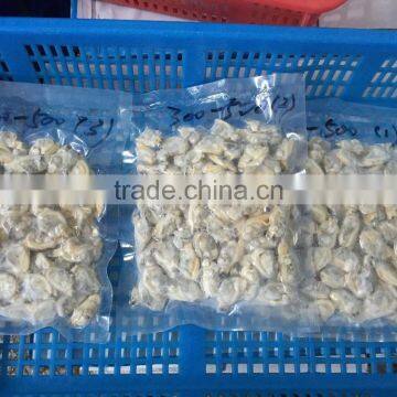 tasty and delicious high quality frozen cooked short necked clam meat ...