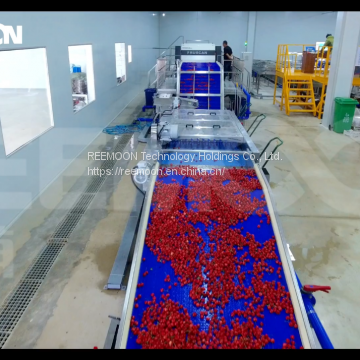 REEMOON cherry sorting machines, size sorting, color sorting, cherry ...