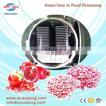 LG50 Fruit Vacuum Freeze Drying Machine for Freeze Dried Pomegranate/Lyophilisate Machine/freeze ...